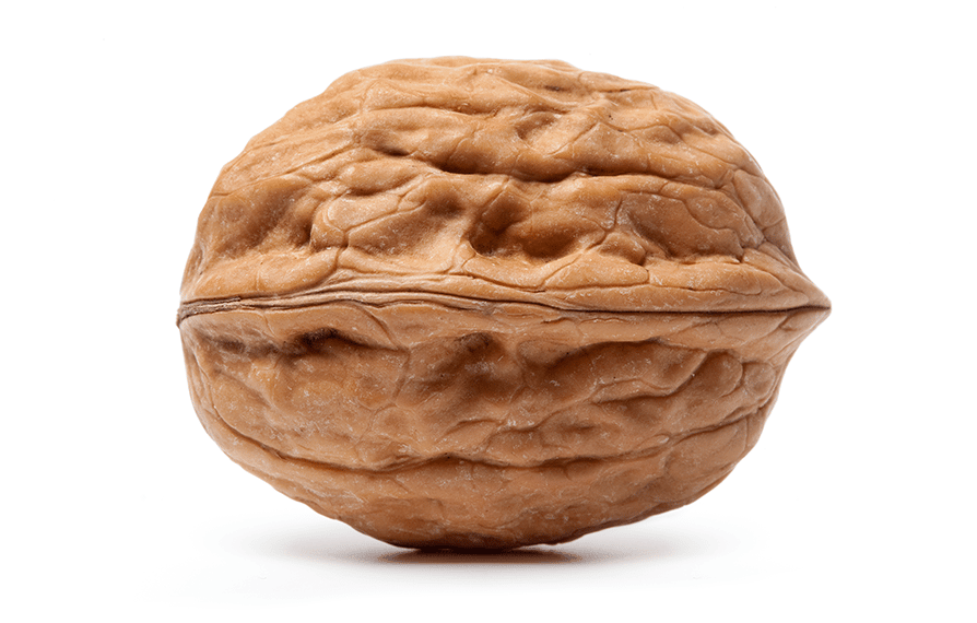 Species - Superior Flooring